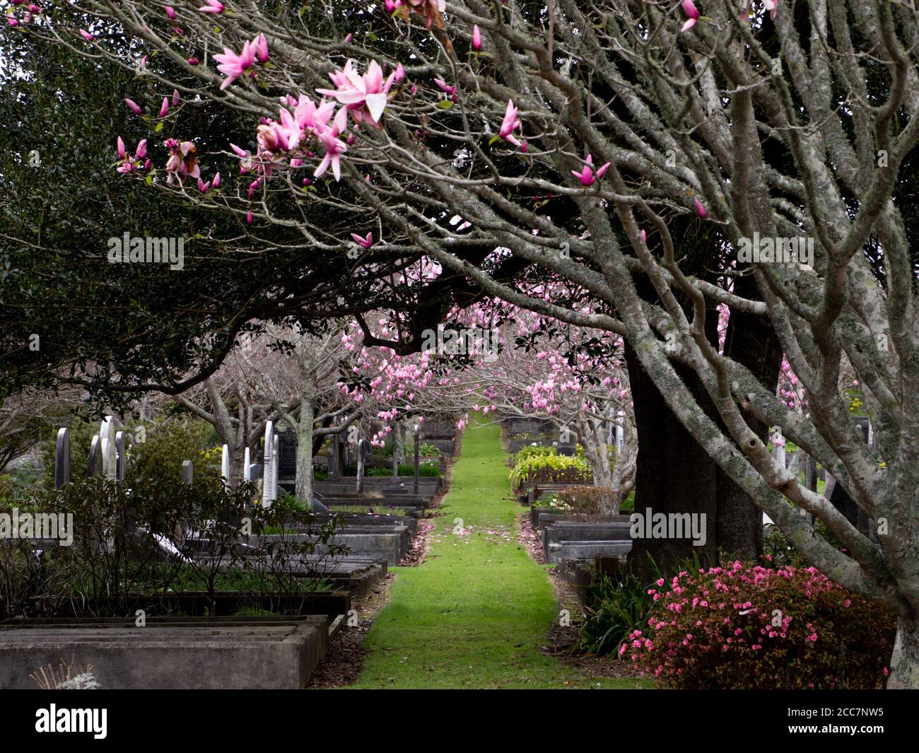 Path to cemetery hi-res stock photography and images - Alamy
