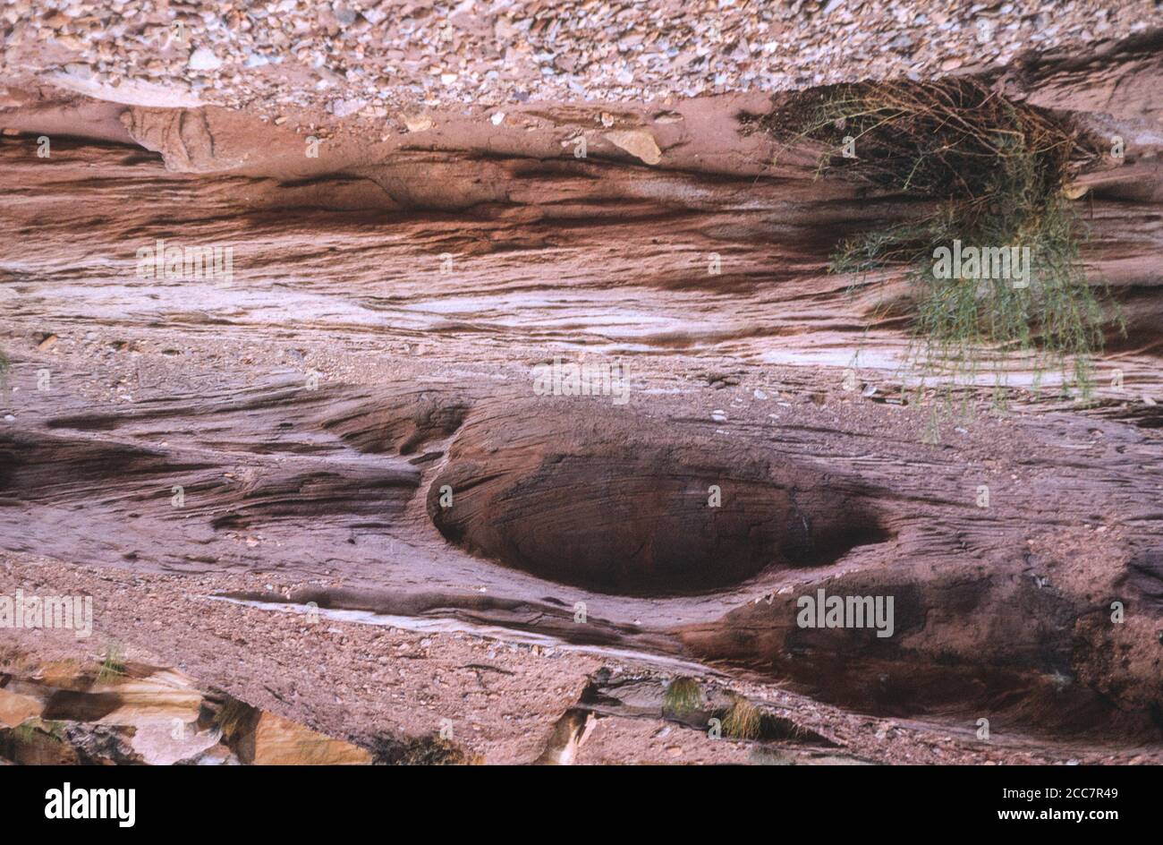 Natural Bridges National Monument, Utah, USA. Erosion in Sandstone ...