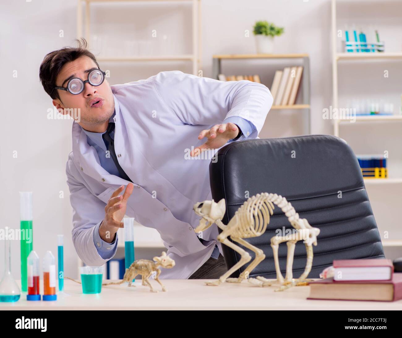 The funny scientist with cat skeleton in lab clinic Stock Photo - Alamy
