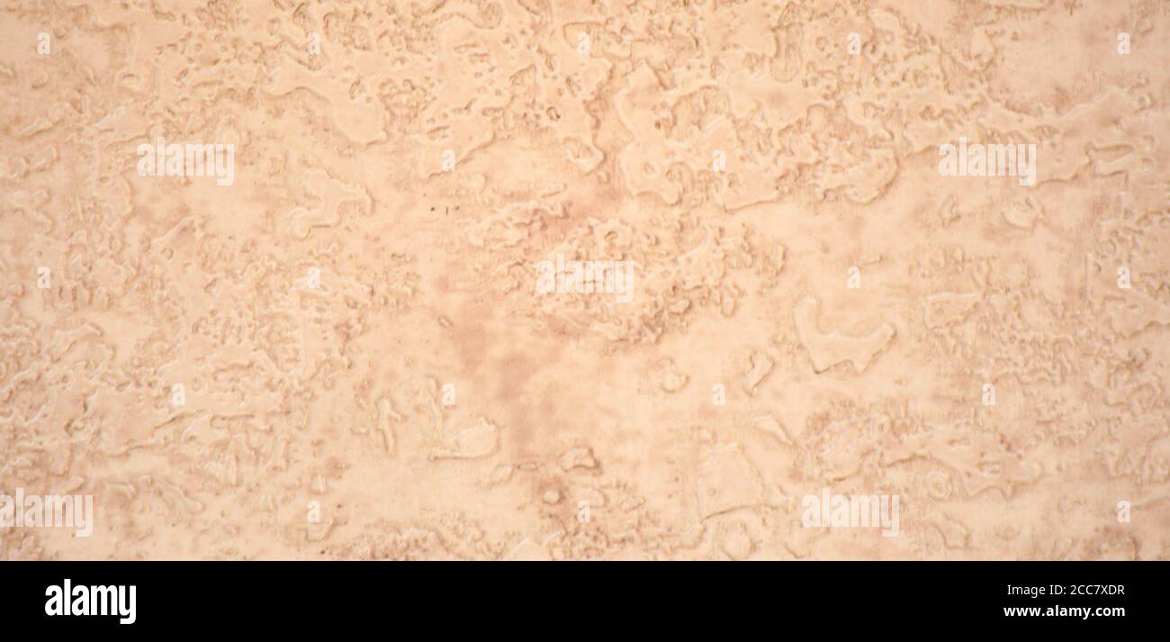 Light beige agate, texture of natural polished stone close-up ...