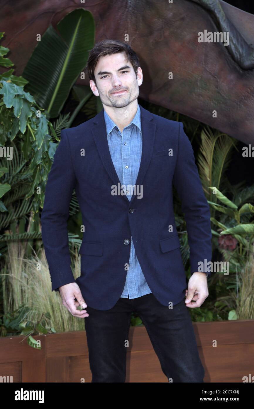 LOS ANGELES - JUN 12: Jared Haibon at the Jurassic World: Fallen ...