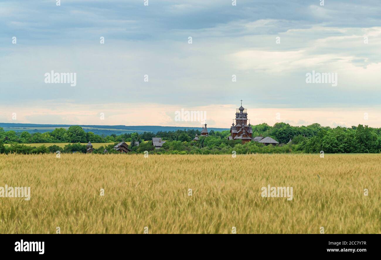 Field of wheat and wooden monastery on the background. Rural landscape ...