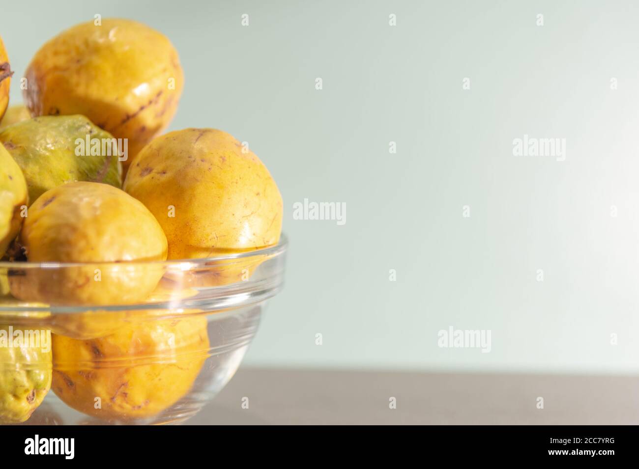 Fresh fruits of guava (Psidium guajava L.). it is one of the richest ...