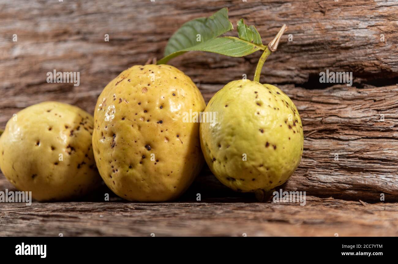 Yellowish pink guava fruits isolated on wooden background. Fresh guavas ...