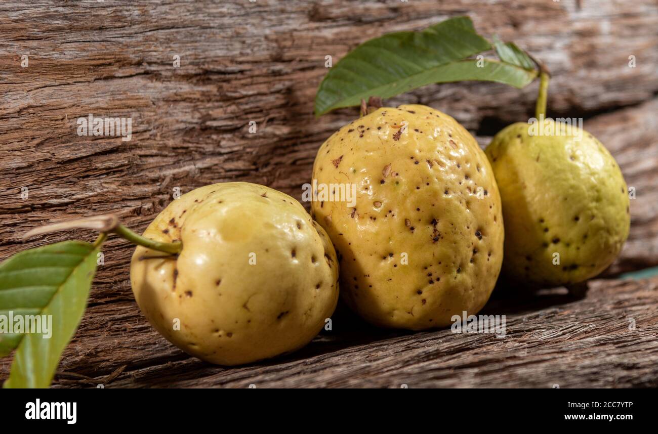 Yellowish pink guava fruits isolated on wooden background. Fresh guavas ...