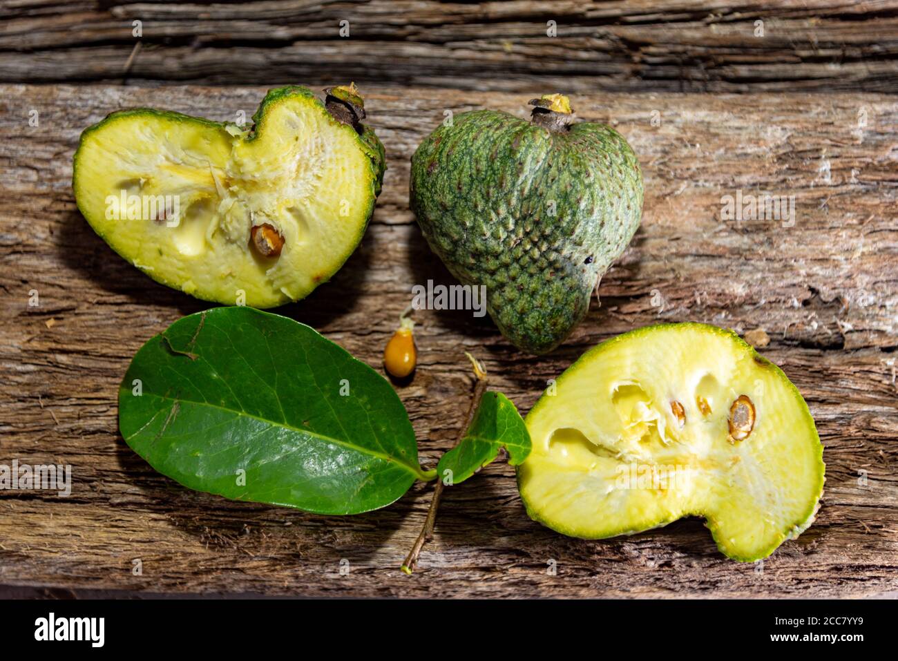 Atemoia (scientific name Annona cherimola Mill x Annona squamosa L.) is ...