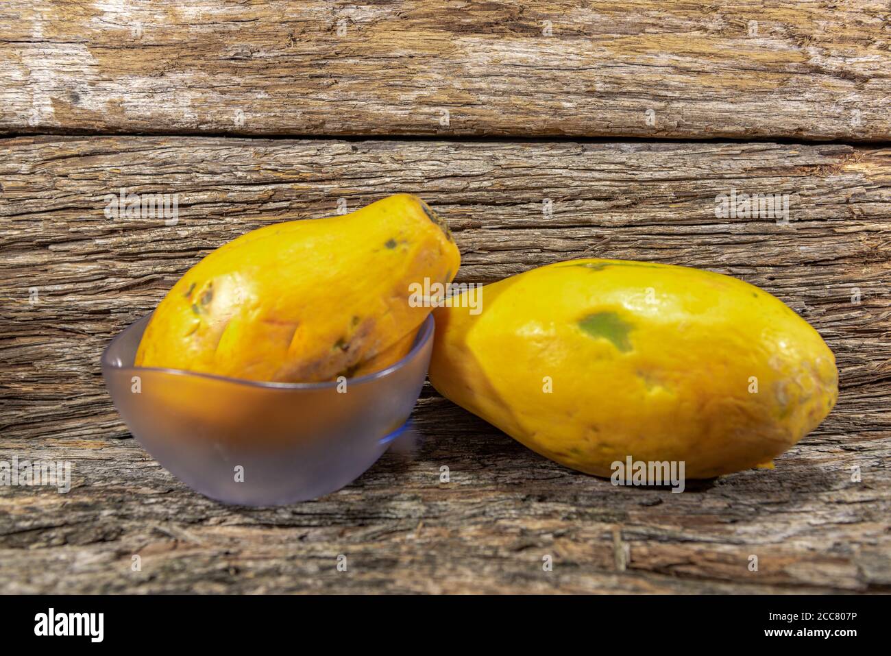 Fresh breasted fruit. Papaya is a fleshy, large, indehiscent fruit ...