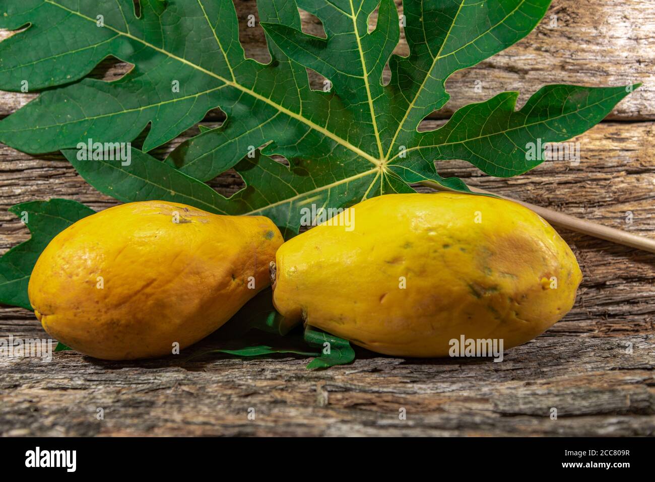 Fleshy meat hi-res stock photography and images - Alamy