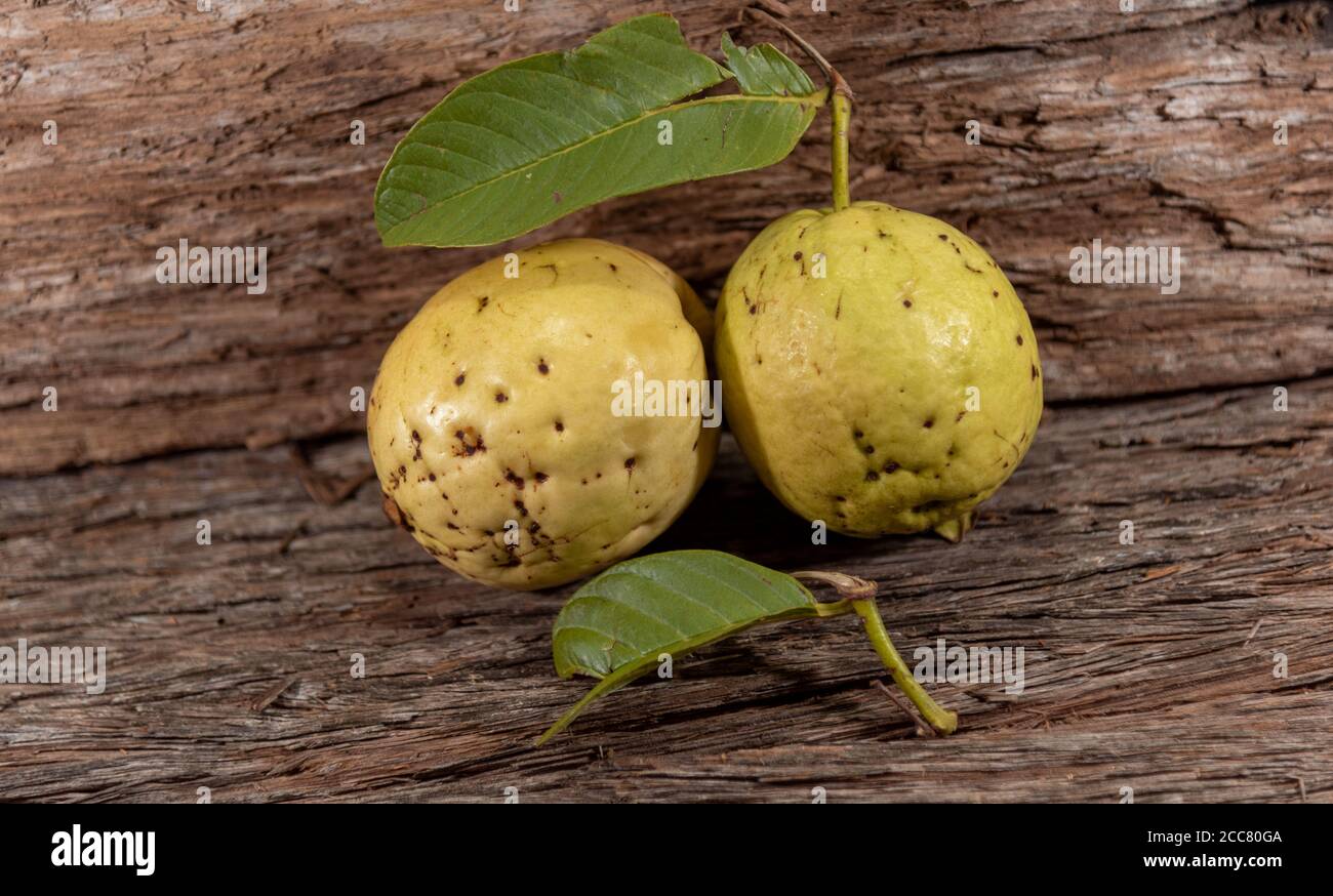 White guavas. Guava is the fruit of guava, a tree of the Psidium ...
