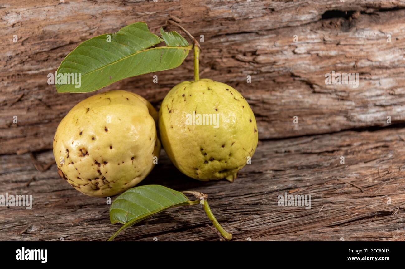 White guavas. Guava is the fruit of guava, a tree of the Psidium ...