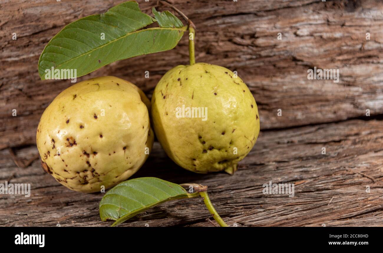 White guavas. Guava is the fruit of guava, a tree of the Psidium ...
