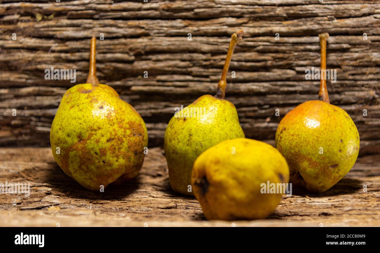 Fresh fruits of pear (Pyrus communis L. Pear is the edible fruit of the ...