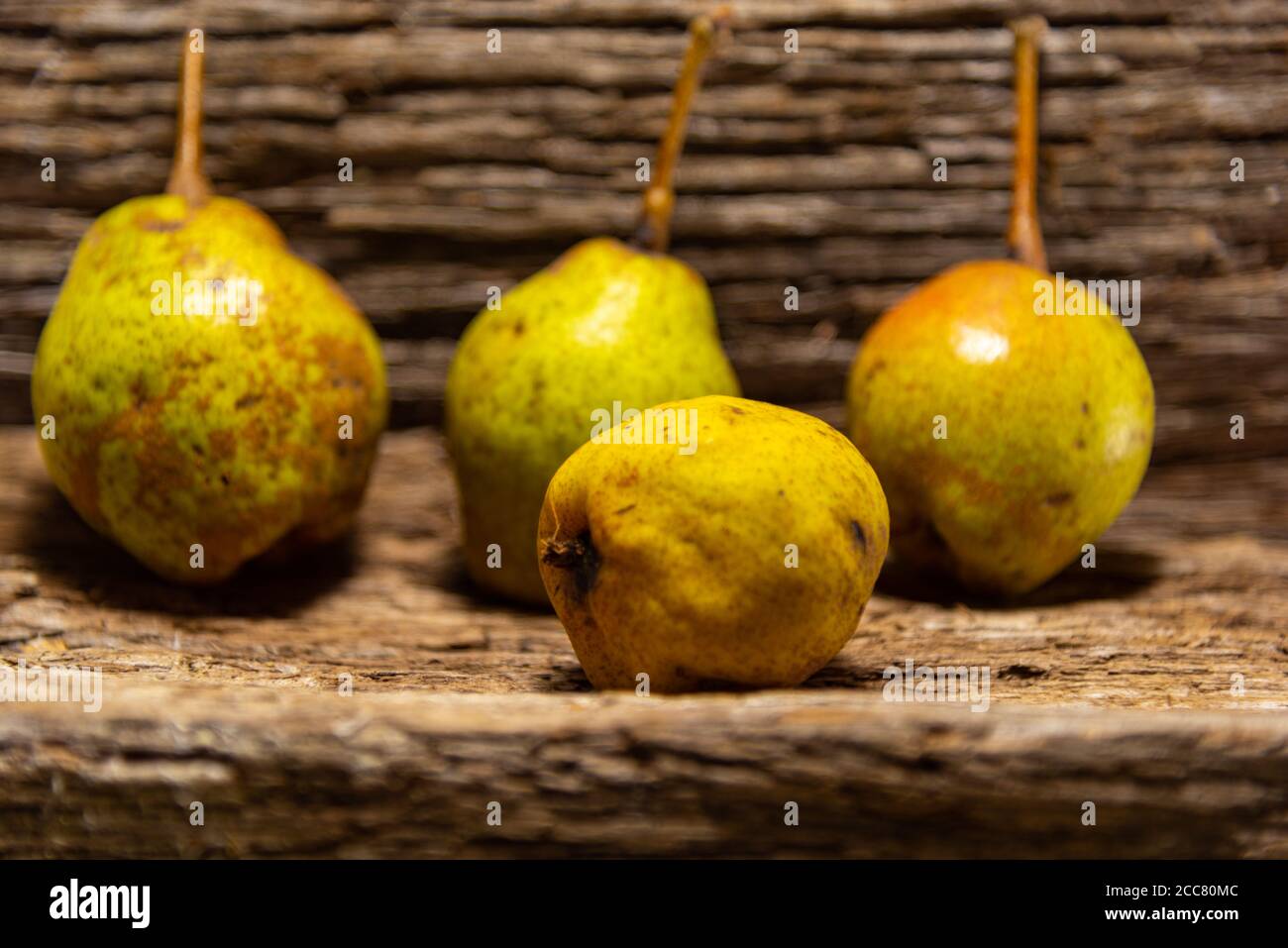 Fresh fruits of pear (Pyrus communis L. Pear is the edible fruit of the ...