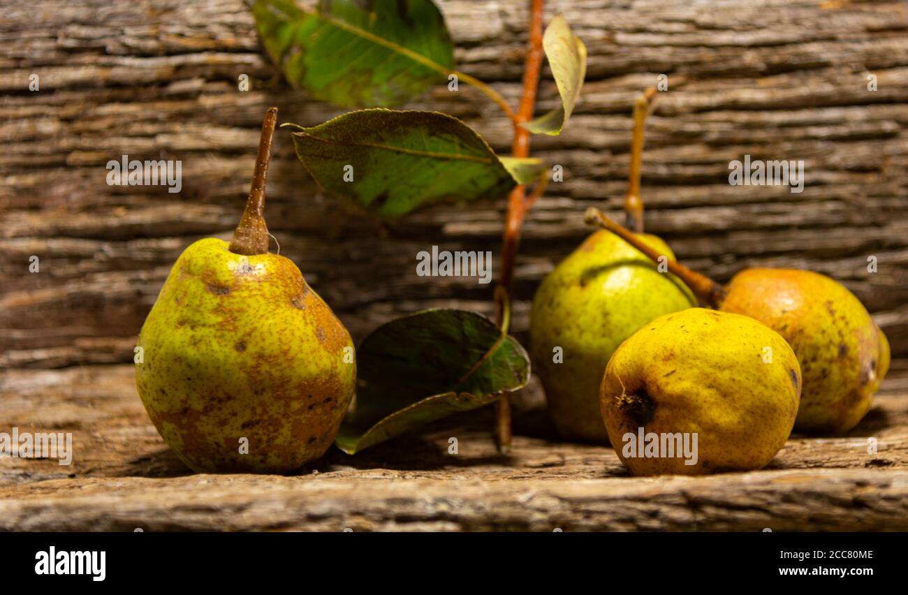 Fresh fruits of pear (Pyrus communis L. Pear is the edible fruit of the ...