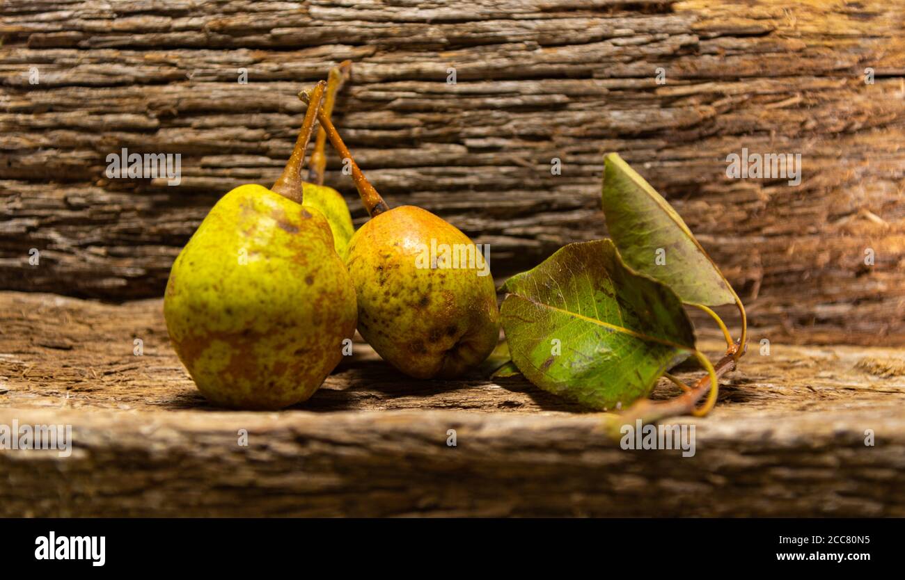 Fresh fruits of pear (Pyrus communis L. Pear is the edible fruit of the ...