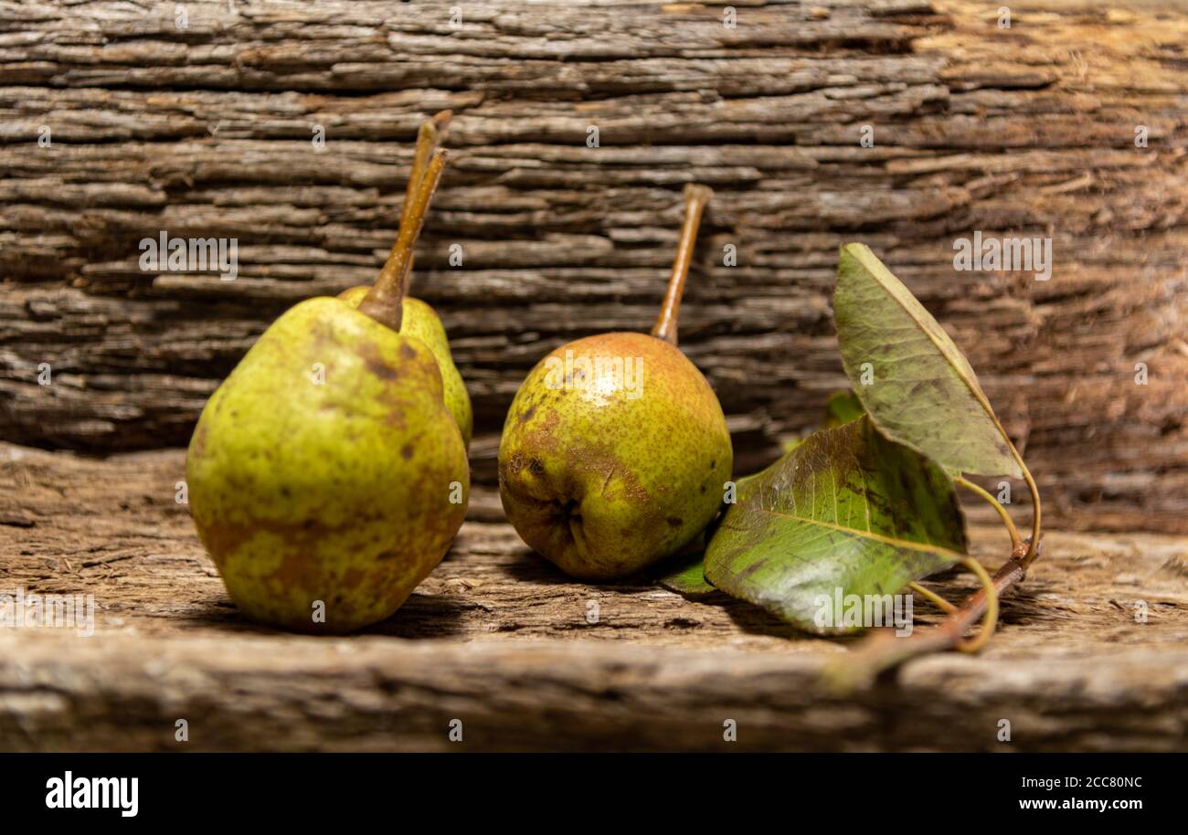 Pyrus genus hi-res stock photography and images - Alamy