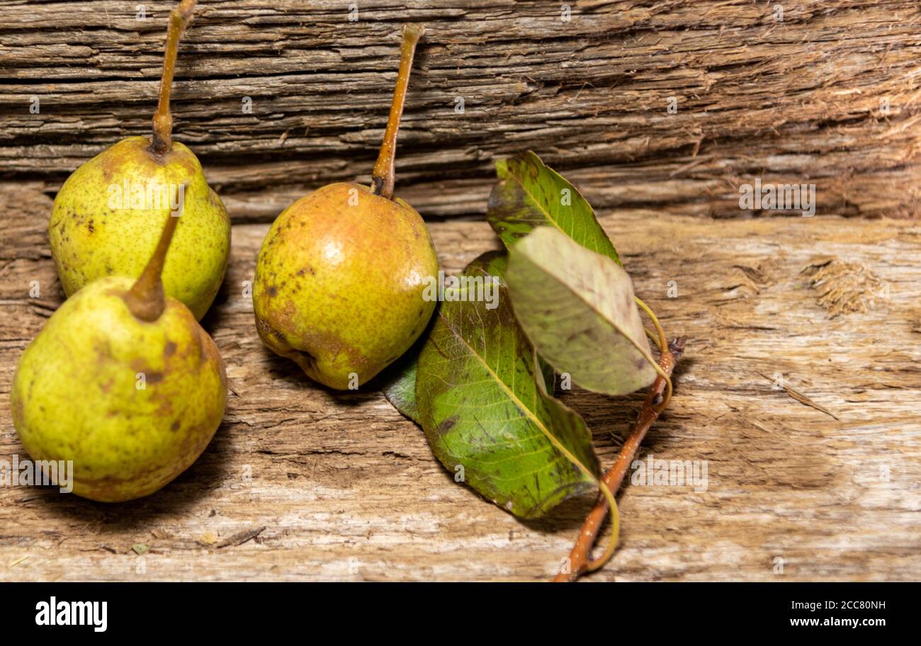 Fresh fruits of pear (Pyrus communis L. Pear is the edible fruit of the ...