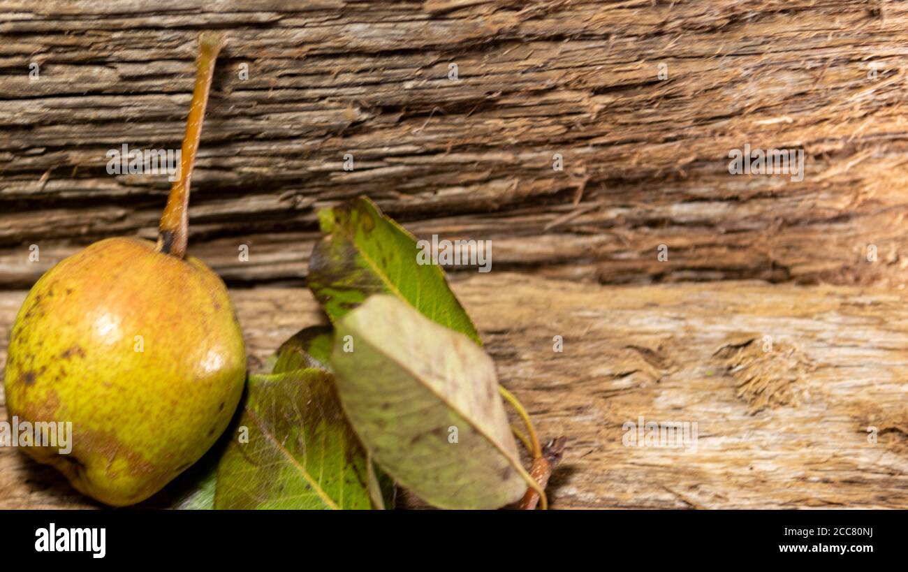 Fresh fruits of pear (Pyrus communis L. Pear is the edible fruit of the ...