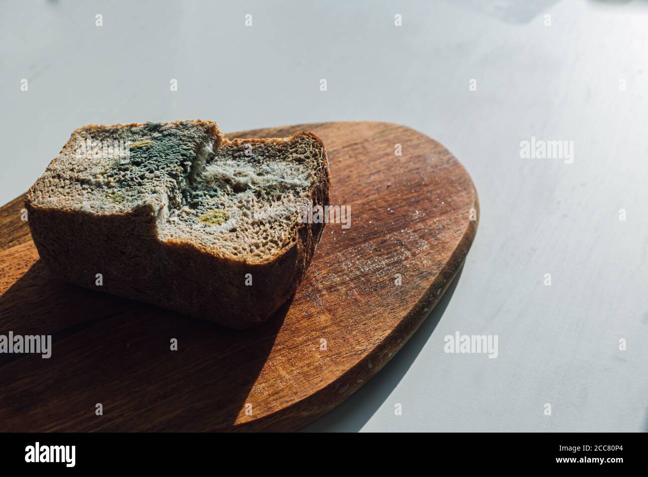Black bread mold hi-res stock photography and images - Alamy