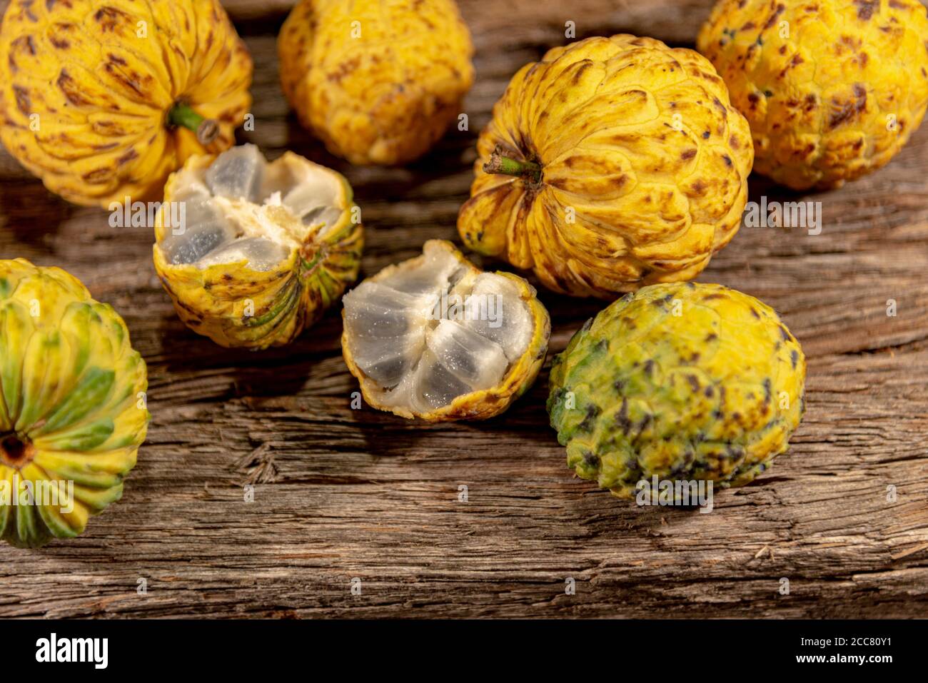 Fruit of the Annona crassiflora tree. The araticum is a fruit from the ...