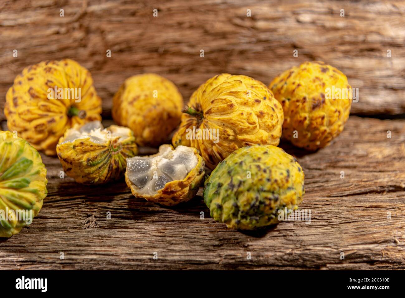 Fruit of the Annona crassiflora tree. The araticum is a fruit from the ...