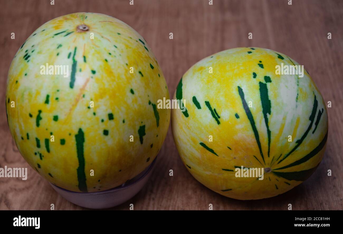 The melon is a vegetable of socio-economic importance in horticultural ...