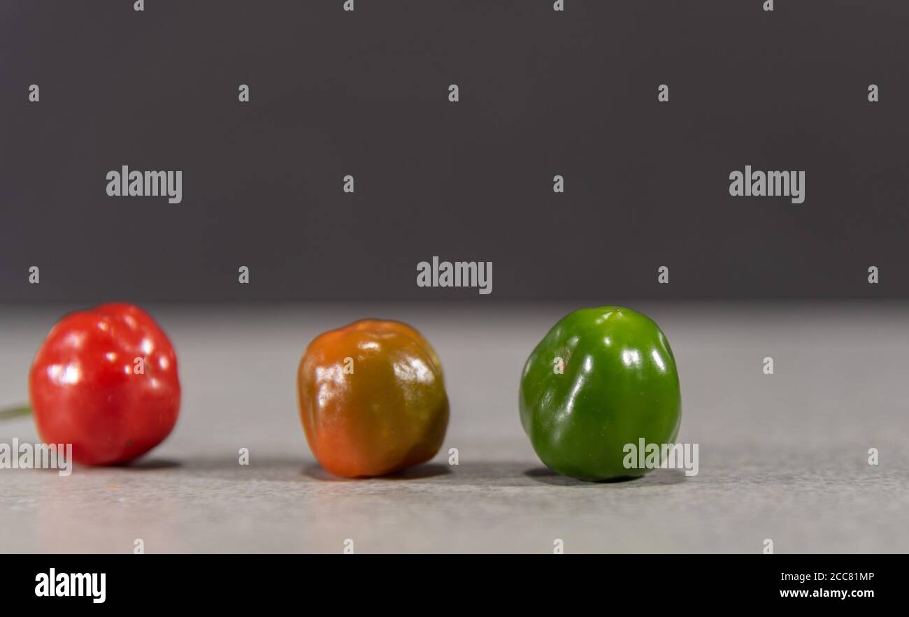 Goat pepper fruits. Pimenta de Cheiro: This is one of the two main ...