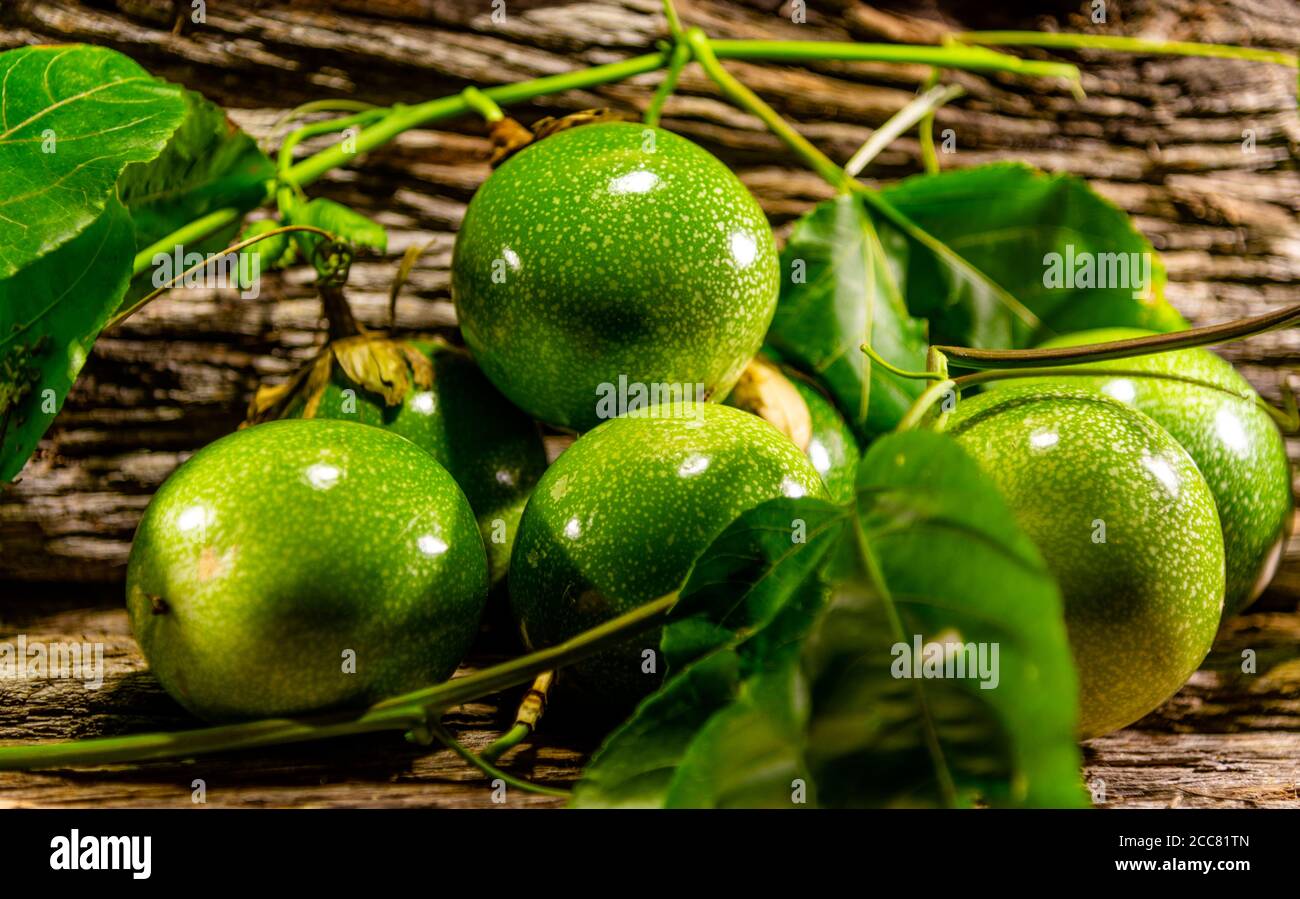 Green passion fruit. Passion fruit is a plant of tropical climate with ...