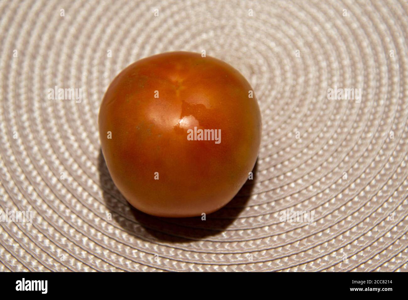 Fruit of Solanum lycopersicum, horticultural plant grown worldwide. Its ...
