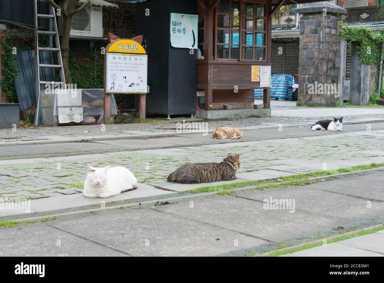 New Taipei City, Taiwan - Houtong Cat Village. a famous tourist spot in ...