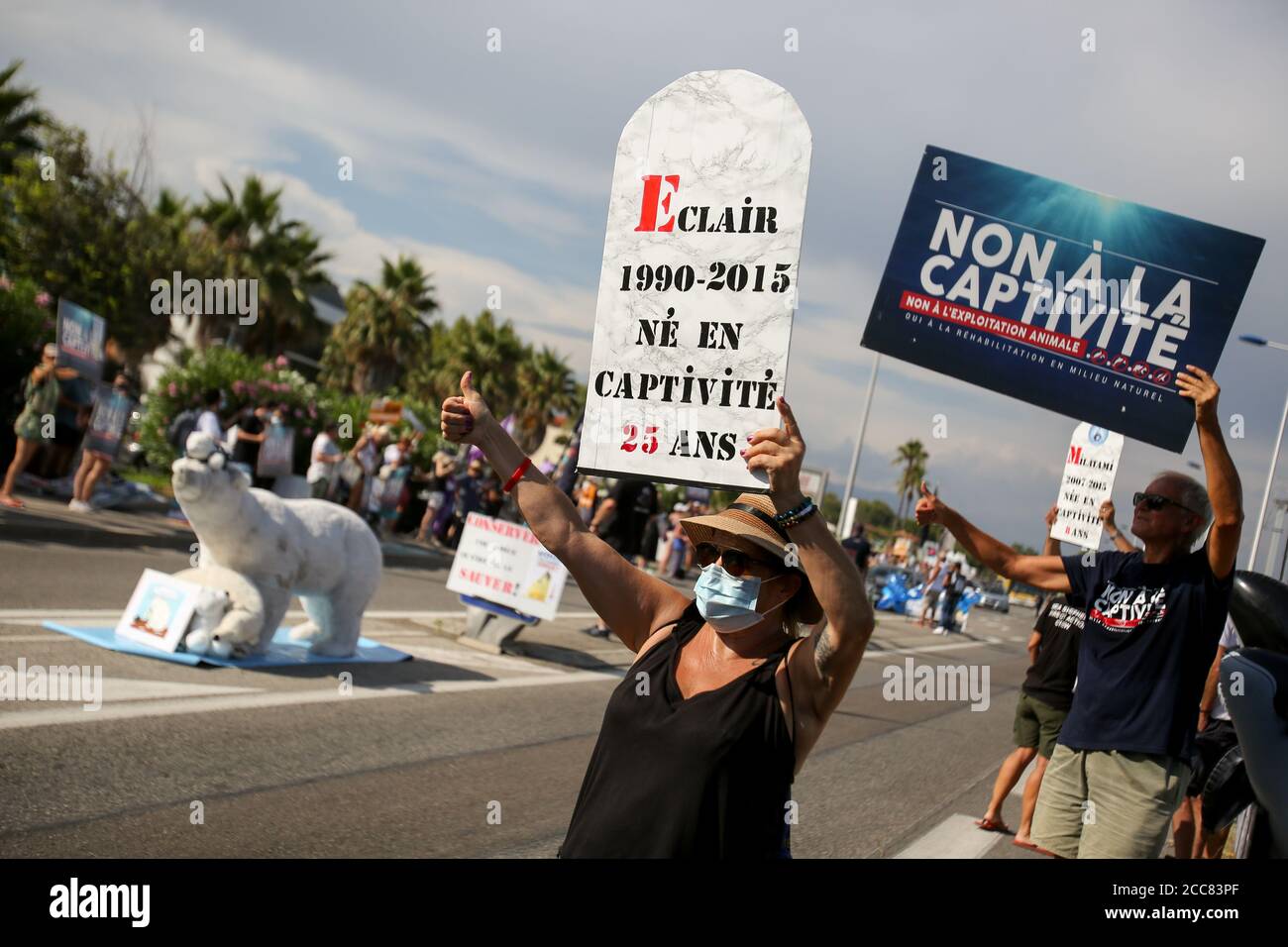 Marine animals in captivity hi-res stock photography and images - Alamy
