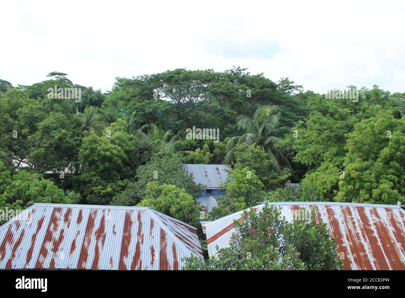 Natural photo capture from hi-res stock photography and images - Alamy