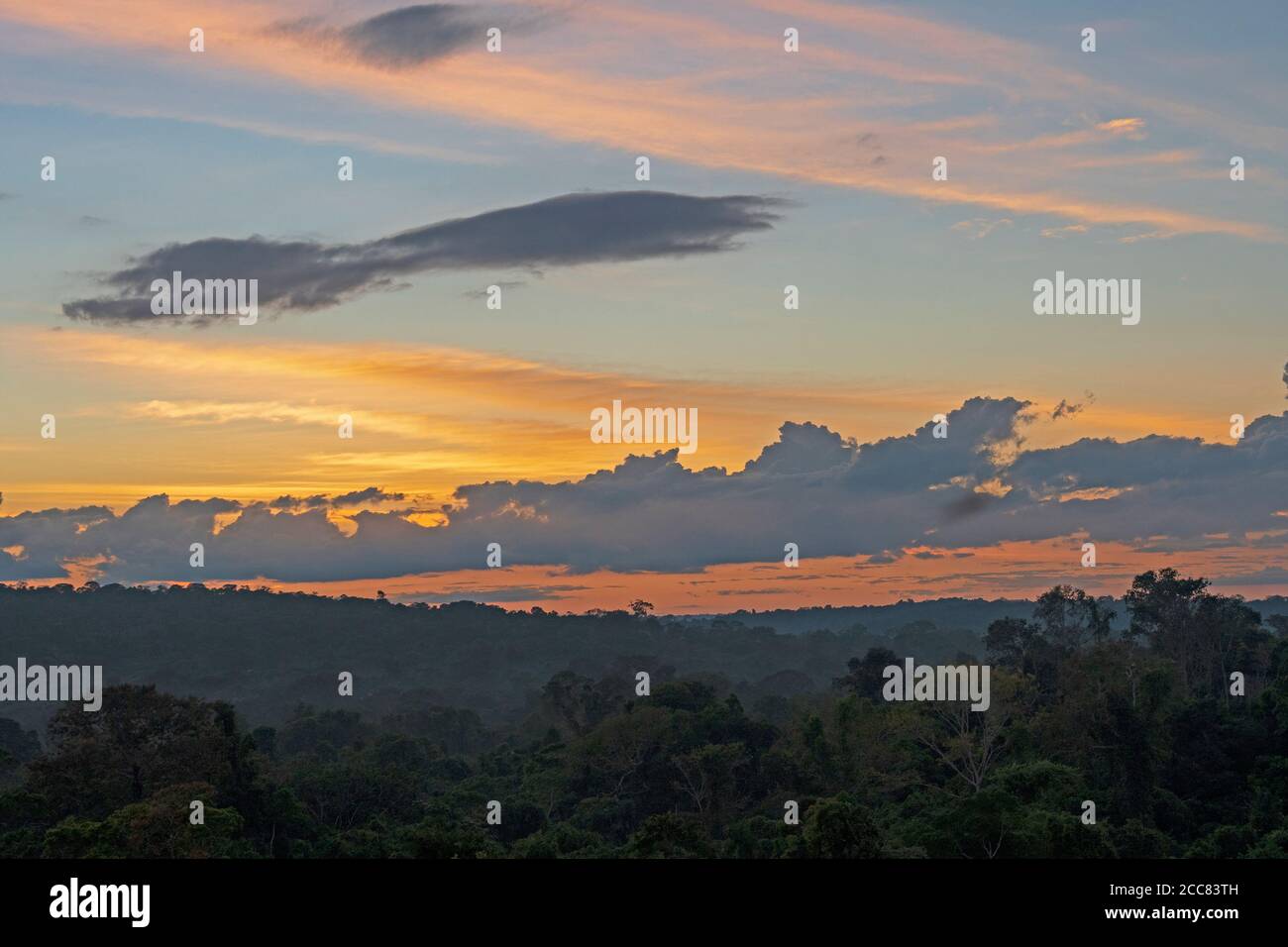Dawn over amazon rainforest brazil hi-res stock photography and images ...