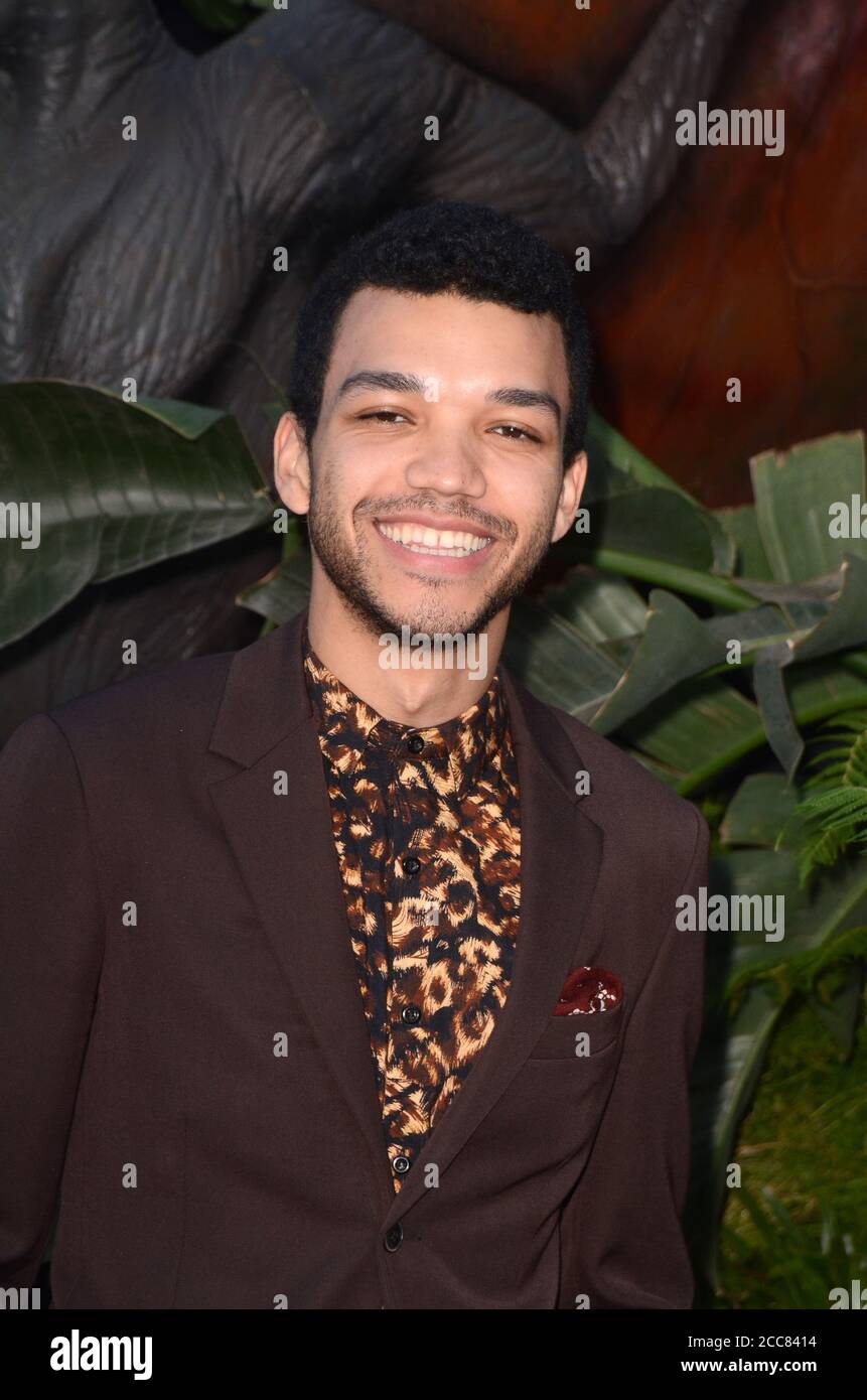 Justice smith hi-res stock photography and images - Alamy