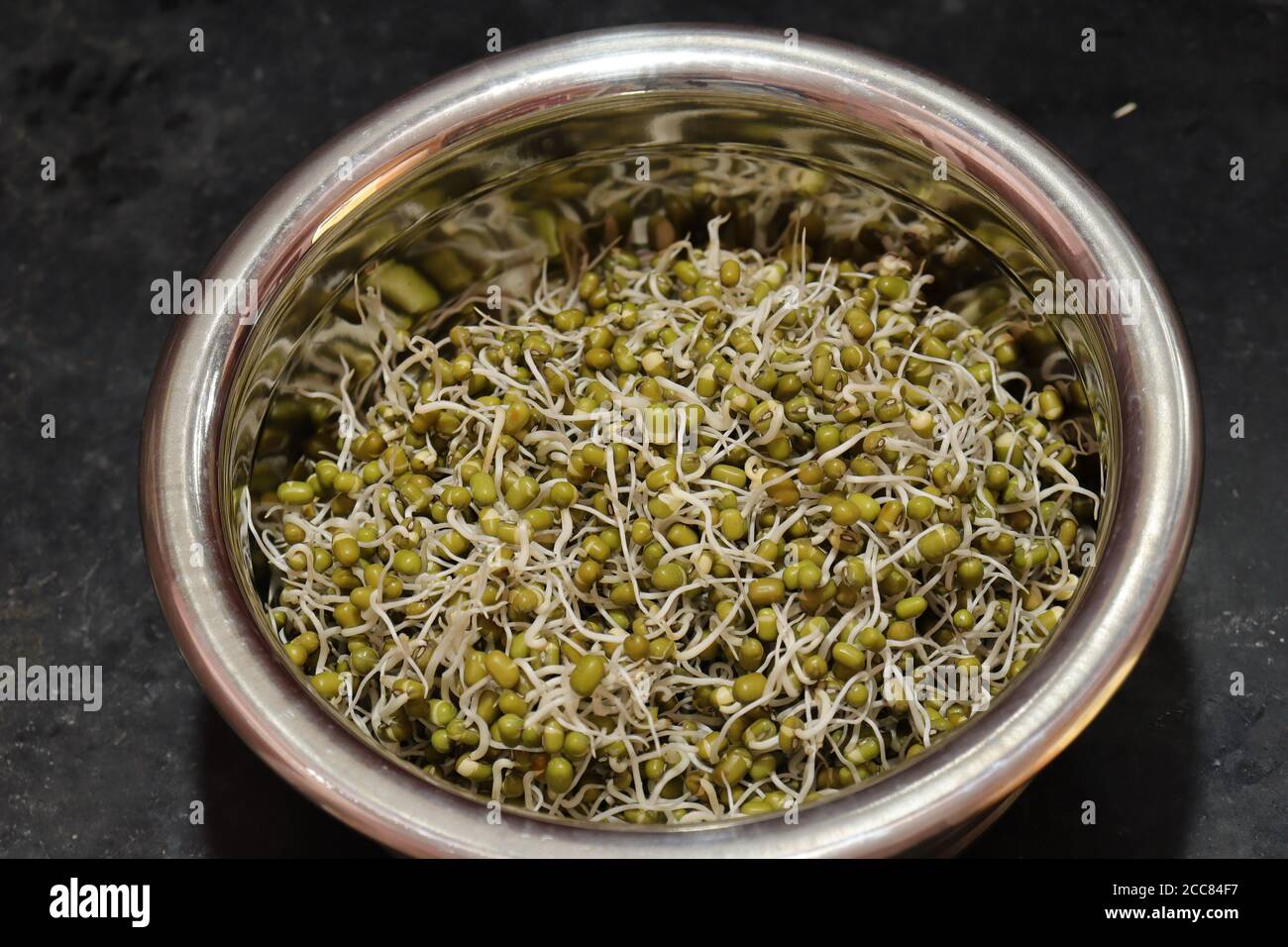 Fresh germinated green gram beans in black background Stock Photo - Alamy