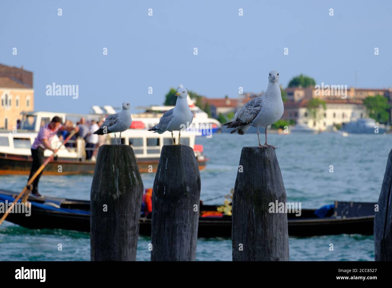 travel in Italy Venice Ferry Terminal Stock Photo - Alamy