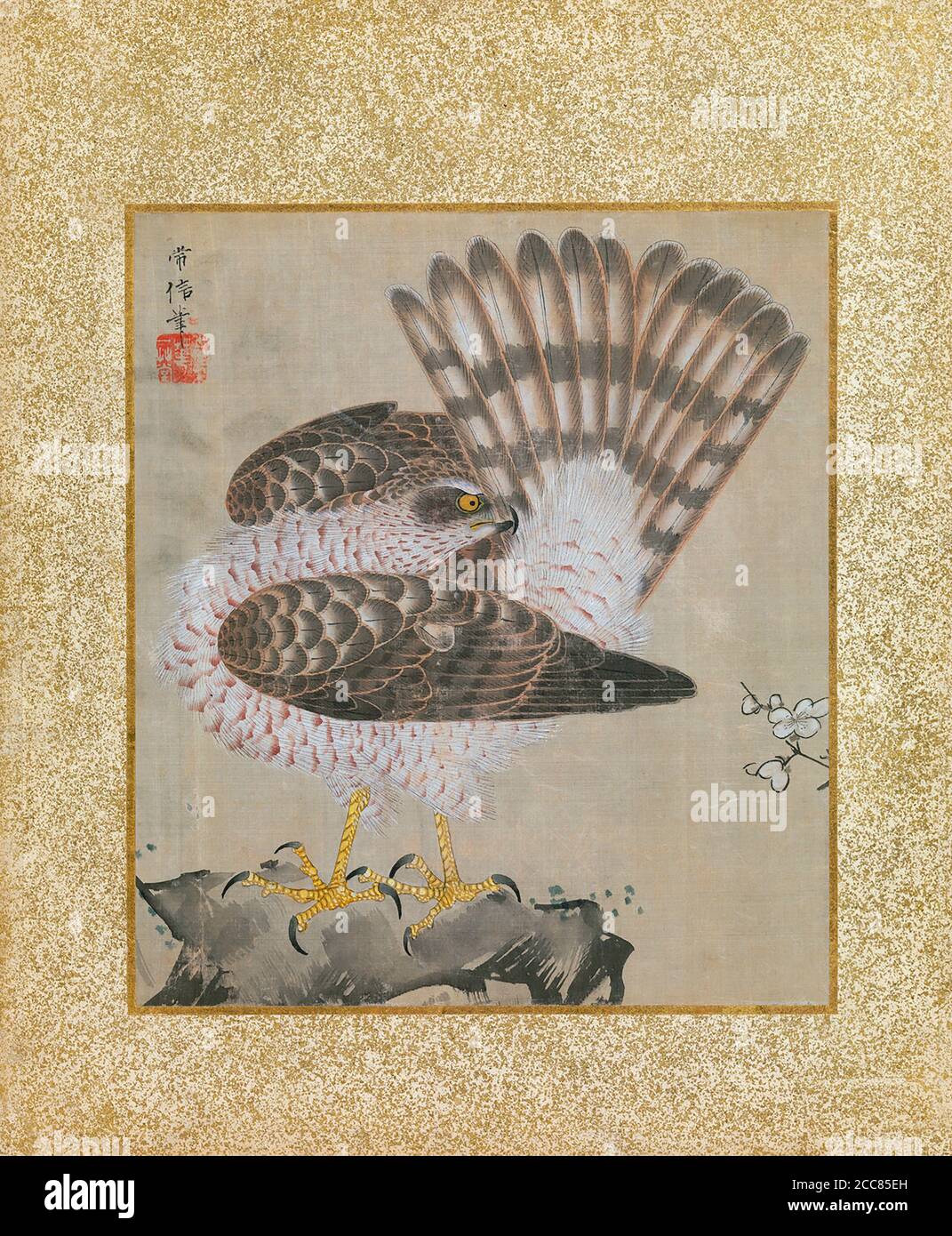 Japanese Hawk Painting