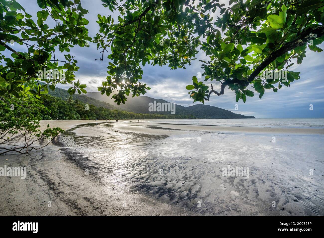 Wet tropics of queensland hi-res stock photography and images - Alamy