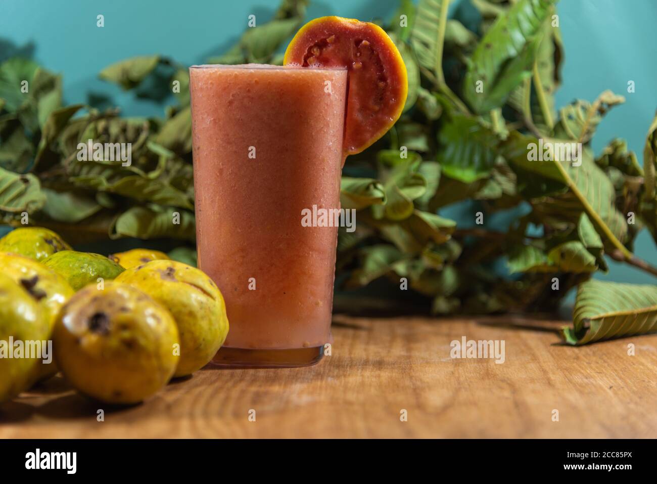 Guava's juice. Scientific name: Psidium guajava L. is one of the ...