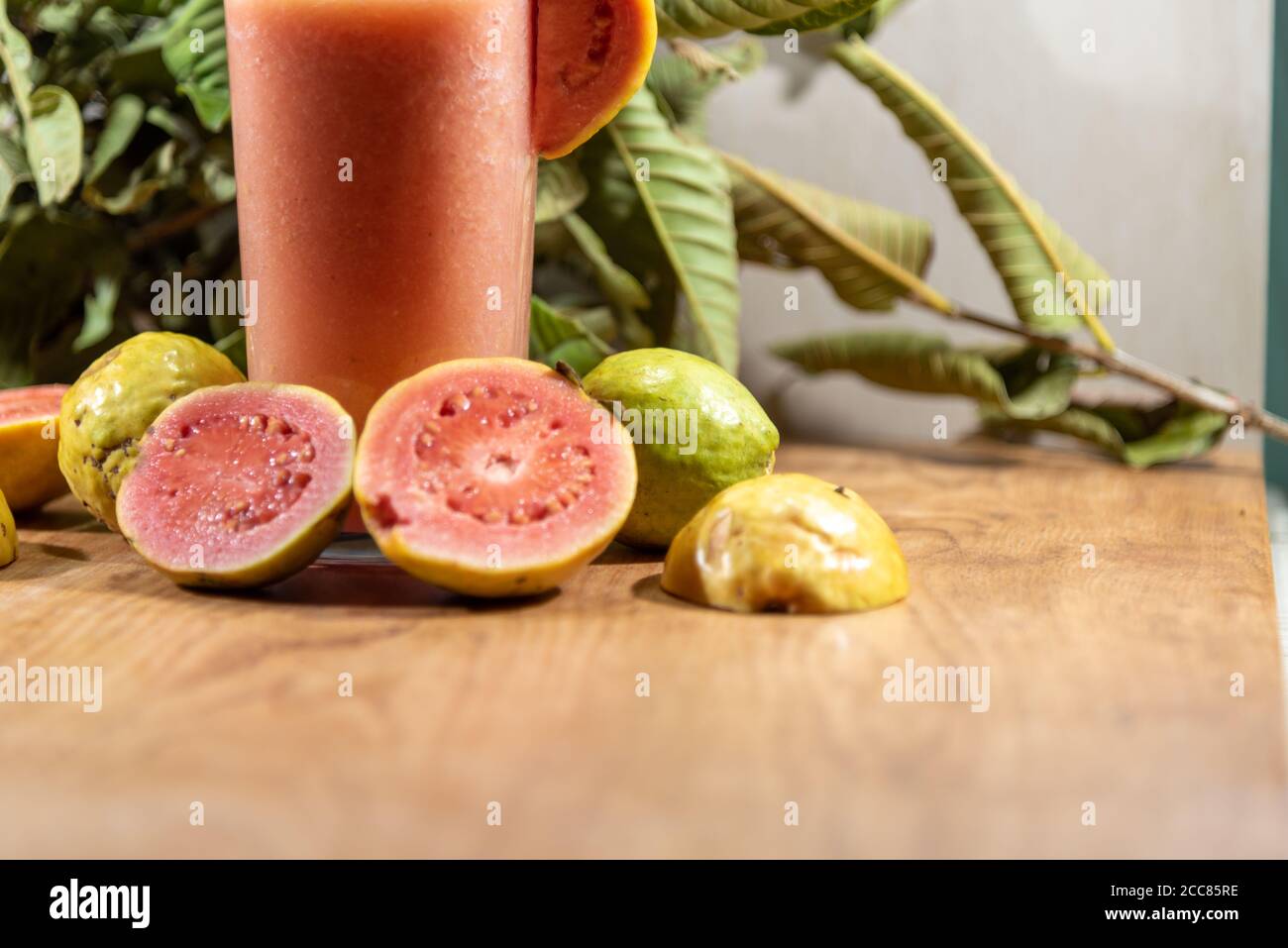 Guava juice, whose scientific name is Psidium guajava. There are ...
