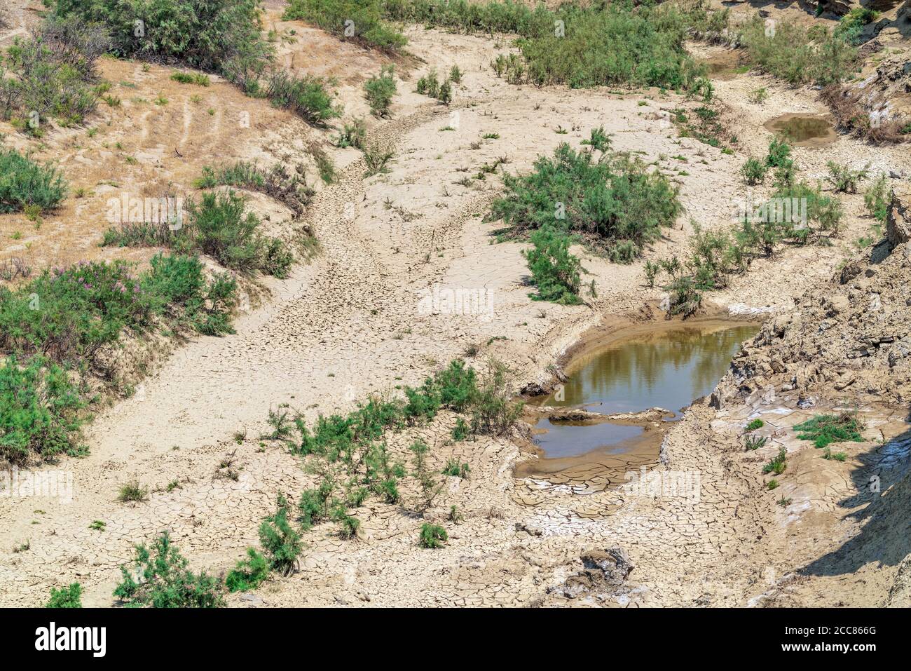 Dry river bed, drought, lack of water Stock Photo - Alamy