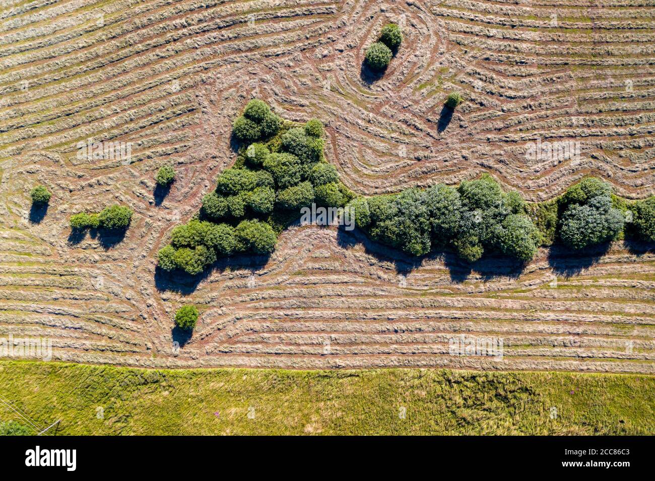 agricultural field top down aerial view, agriculture and farming Stock ...