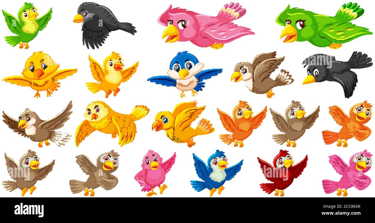 Set of bird cartoon character illustration Stock Vector Image & Art - Alamy