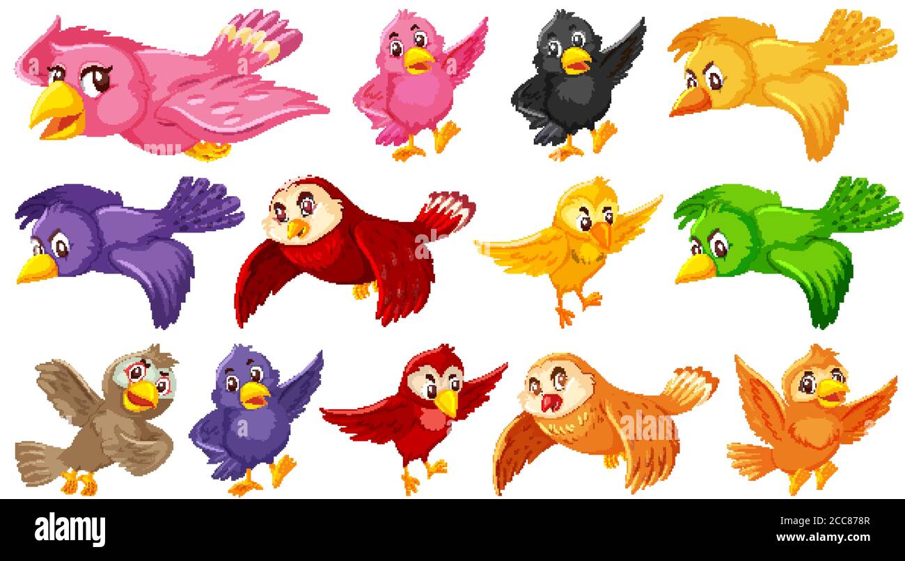 Set of bird cartoon character illustration Stock Vector Image & Art - Alamy