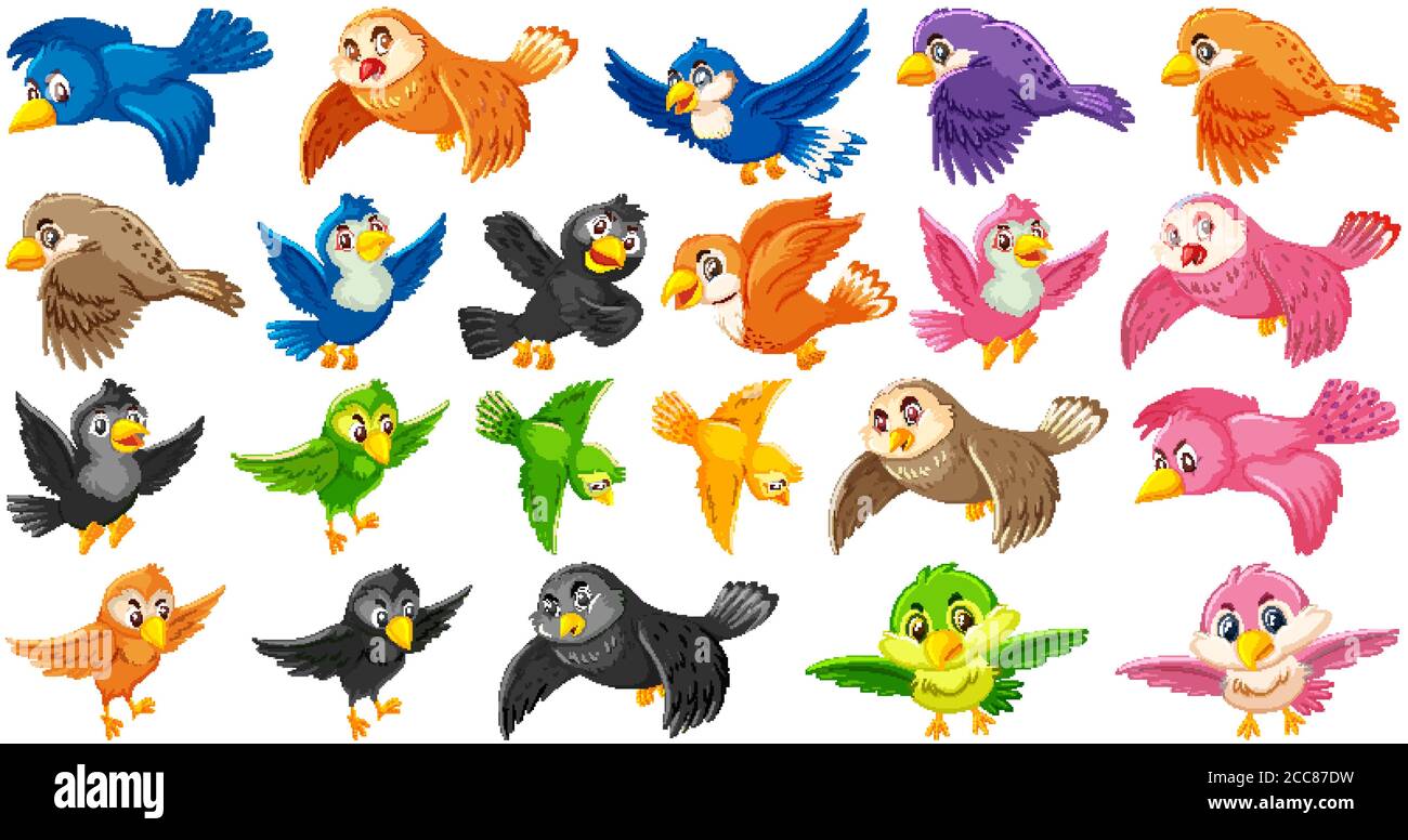 Set of bird cartoon character illustration Stock Vector Image & Art - Alamy