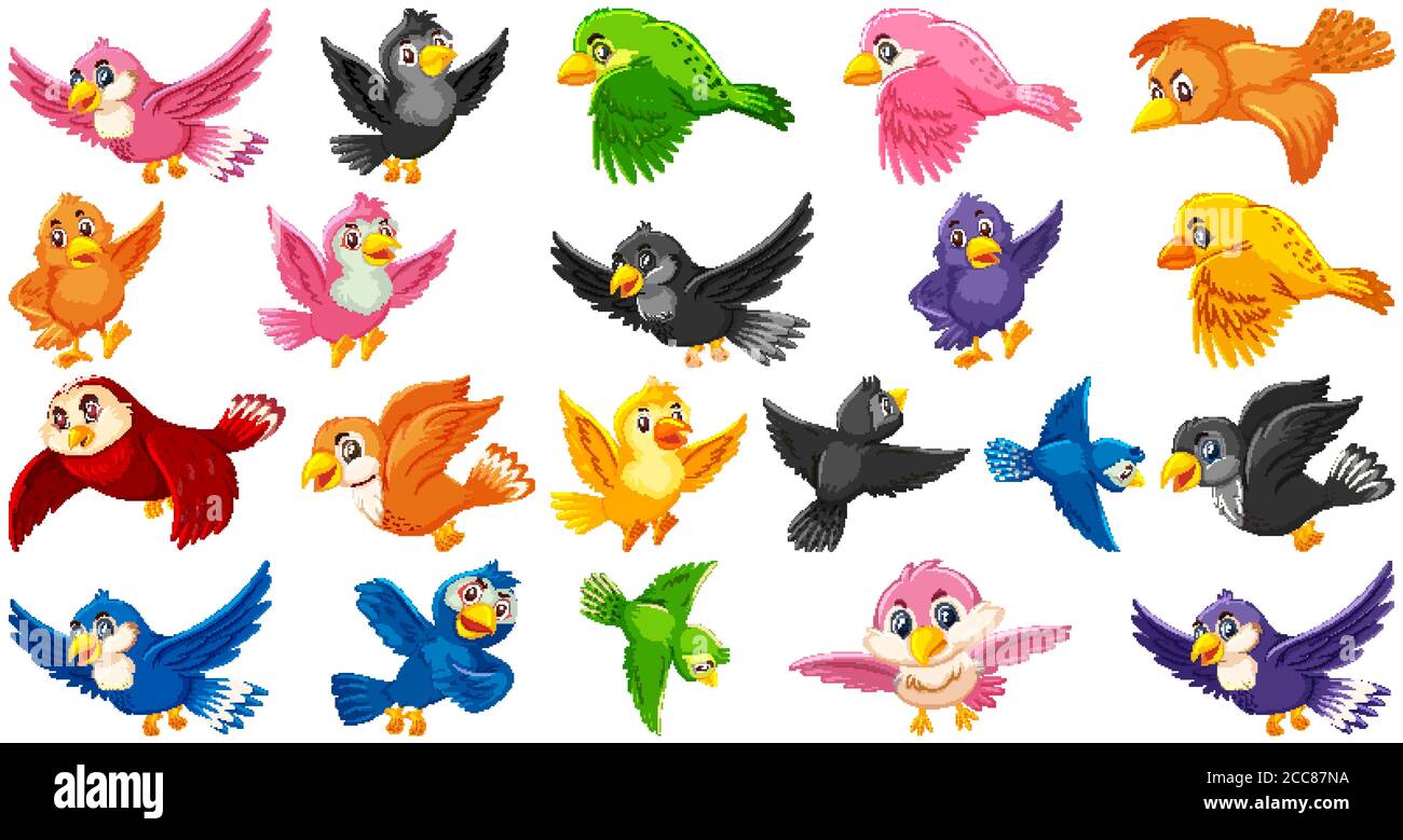Set of bird cartoon character illustration Stock Vector Image & Art - Alamy