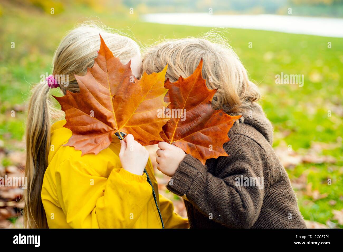 Happy children with Autumn leaf kissing in park Stock Photo - Alamy