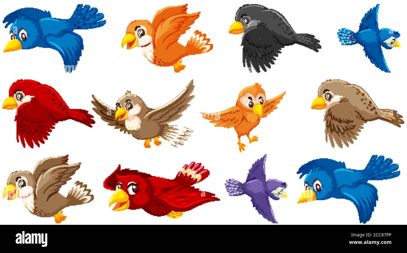 Set of bird cartoon character illustration Stock Vector Image & Art - Alamy