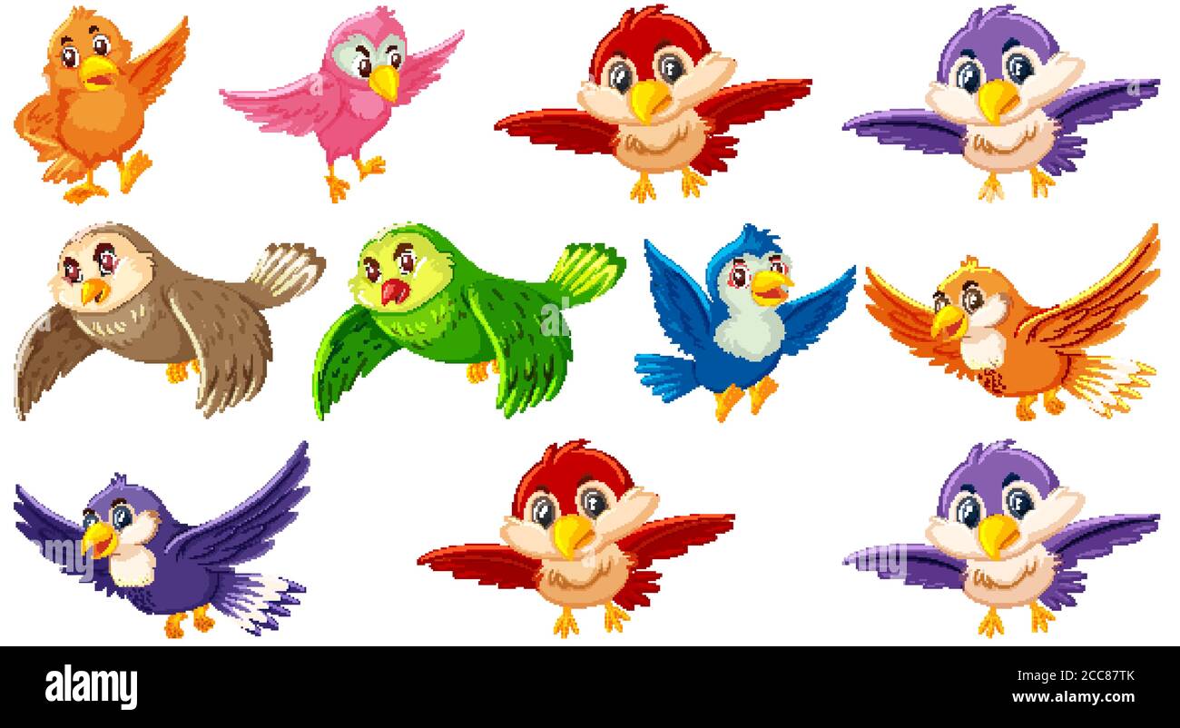 Set of bird cartoon character illustration Stock Vector Image & Art - Alamy