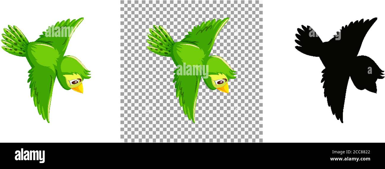 Cute green bird cartoon character illustration Stock Vector Image & Art ...